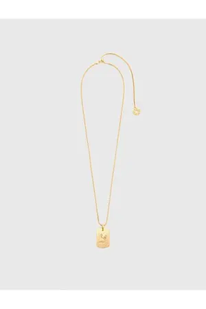 Maje Zodiac Sign Plaque Necklace Aqua