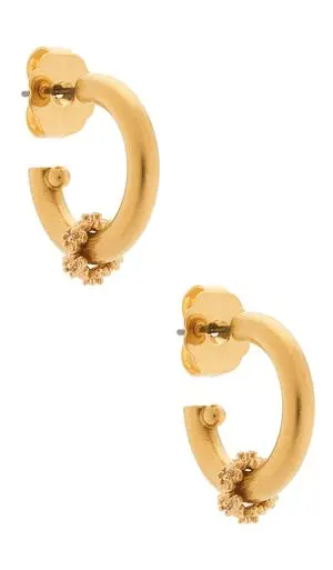 Brinker & Eliza Bay Hoops - Gold
