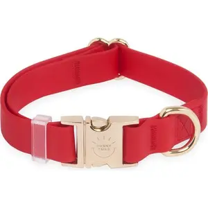 SUNNY TAILS Cloud Waterproof Dog Collar - Cherry Red