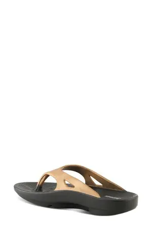 SPRING STEP SHOES Osmar Flip Flop - Bronze Multi
