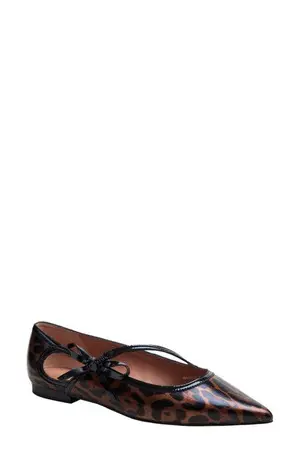 Linea Paolo Nuri Bow Pointed-toe Flat - Brown/black