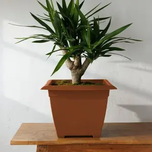 BLOEM 15" Dayton Square Deck Planter