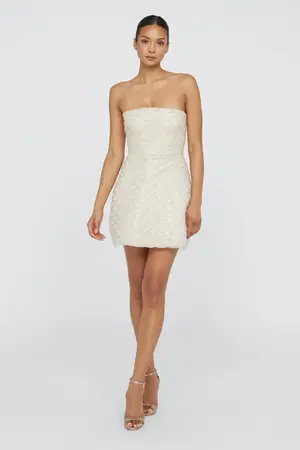 Theia Amanda Beaded Mini Dress