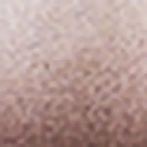 ORMONDE JAYNE Fraise Sublime Diffuser