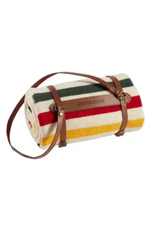 Pendleton National Park Stripe Throw Blanket & Carrier - Glacier