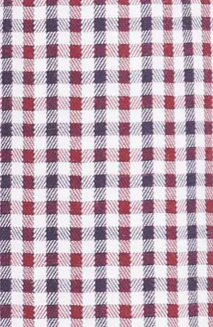 Barbour Padshaw Check Button-down Shirt