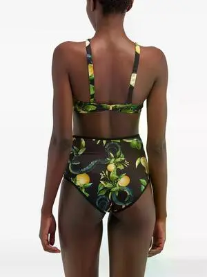 Roberto Cavalli Lemon-print Bikini Bottom