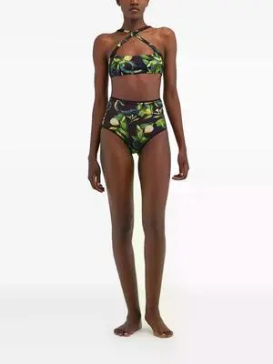Roberto Cavalli Lemon-print Bikini Bottom