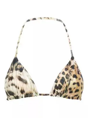 Roberto Cavalli Leopard-print Triangle Bikini Top - Brown