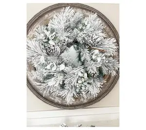 SIMPLY STUNNING BY JANINE GRAFF As Is Simply Stunning Flocked Wreath Janine Graff - One-color