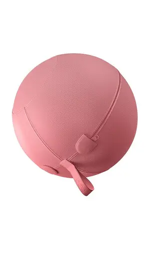 BALA Balance Ball - Blush