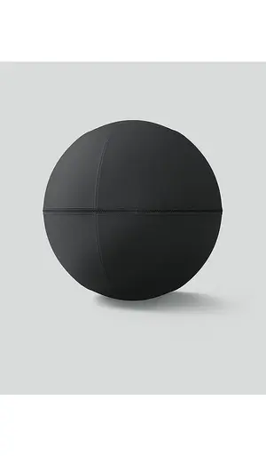 BALA Balance Ball