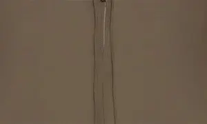 Deluc Bradley Sheer Ruffle Shirt - Dark Olive