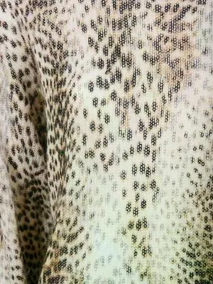 TWINSET Leopard-print Sweater