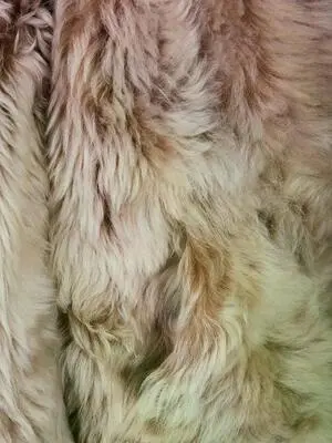 YVES SALOMON Hooded Lamb Fur Jacket - Brown