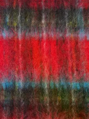 Acne Studios Plaid Fringed Scarf