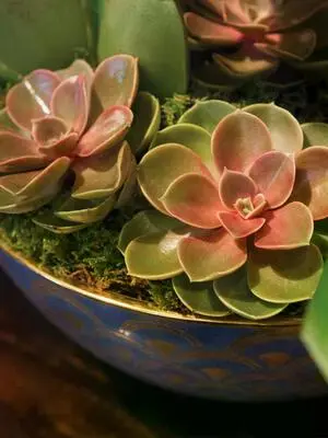 L'Objet Fortuny Papiro Bowl