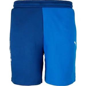 Puma Relaxed Shorts For Men