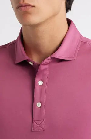 Brooks Brothers Solid Performance Series Polo - Violet Quartz