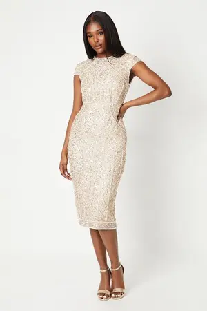 Coast Embellished Pencil Dress - Champagne