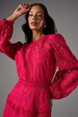 Coast Lace Panelled Long Sleeve Dress
