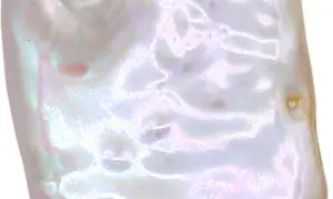 LA MENO Power Pearl Drop Earrings