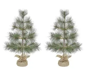 FRASER HILL FARM 3-ft. Farmhouse Fir Christmas Tree Set Of 2 - One-color