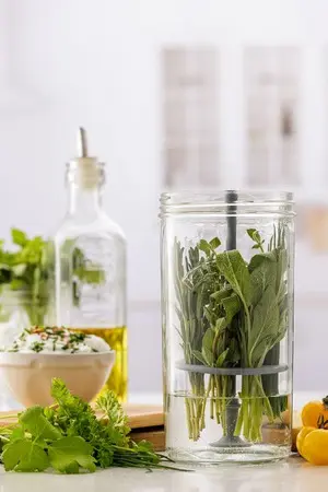 KILNER Fresh Herb Keeper