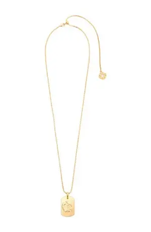 Maje Zodiac Sign Plaque Necklace - Pisces