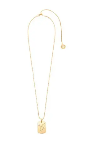 Maje Zodiac Sign Plaque Necklace - Scorpio