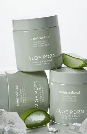 SHAISHAISHAISHAI Aloe Pdrn Cooling Mud Mask