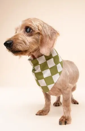 THE PAWS Checkmate Dog Bandana