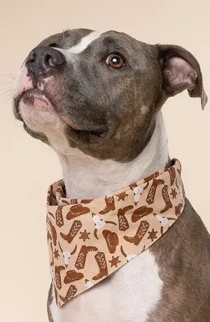 THE PAWS Bronco Dog Bandana