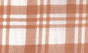 THE PAWS Ginger Dog Bandana