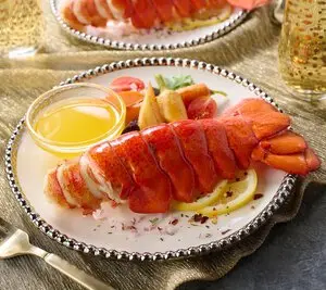 GREENHEAD LOBSTER Sh12/8 Greenhead 6-7oz Hpp Lobster Tails W/kate's Butter - One-color