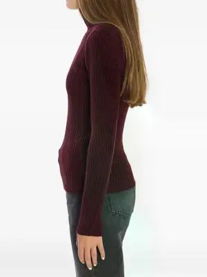 Max Mara Ribbed High-neck Sweater