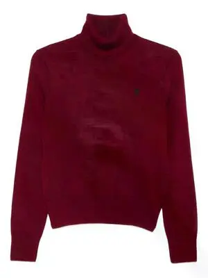 Ami Turtleneck Sweater
