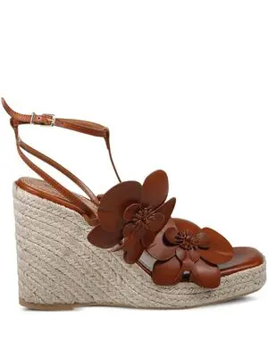 Zimmermann Wedge - Powder