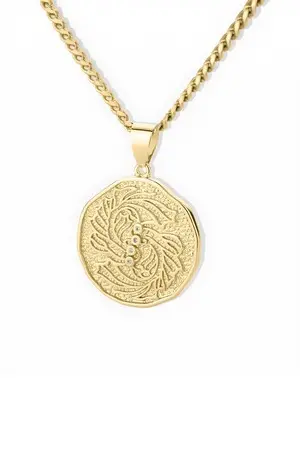 MINT & LILY Astrological Sign Coin Pendant Necklace - Pisces