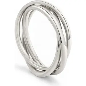 MINT & LILY Dainty Interlocking Fidget Ring - Silver
