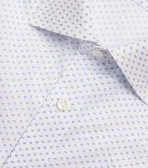 Pal Zileri Cotton Polka Dot Shirt
