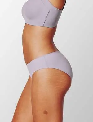 THIRDLOVE Comfortstretch Bikini Panty - Dreamy Lilac
