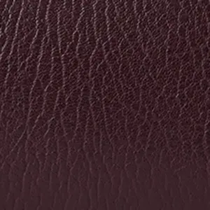 Mulberry Grained Leather Alexa Crossbody Bag - Red