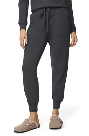 Splendid Stretch Sports Pants For Women