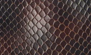Dries Van Noten Snakeskin Embossed Leather Clutch