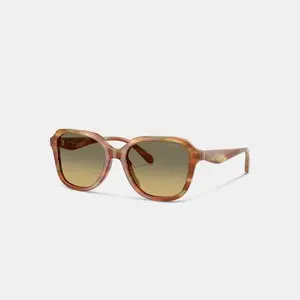 COACH Oval Square Sunglasses - Bark