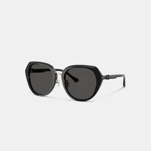 COACH Oversized Round Sunglasses - Black