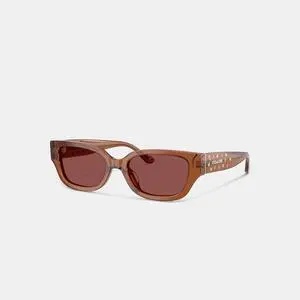 COACH® Charms Narrow Rectangle Sunglasses - Transparent Brown