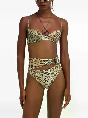 Roberto Cavalli Leopard-print Triangle Bikini Top