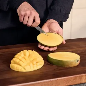 ZWILLING Spectrum 4 Paring Knife